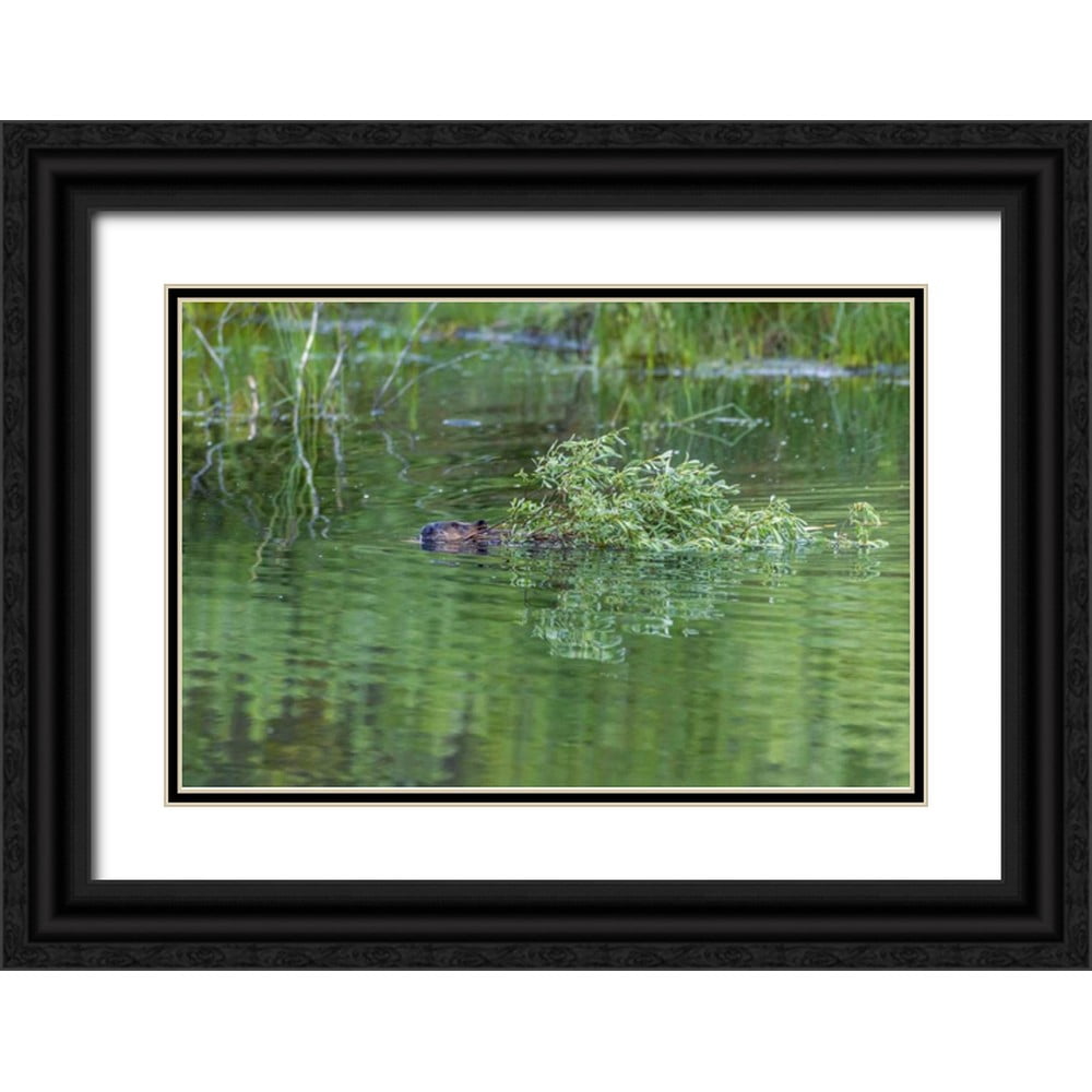 Illg, Cathy and Gordon 32x23 Black Ornate Wood Framed with Double ...