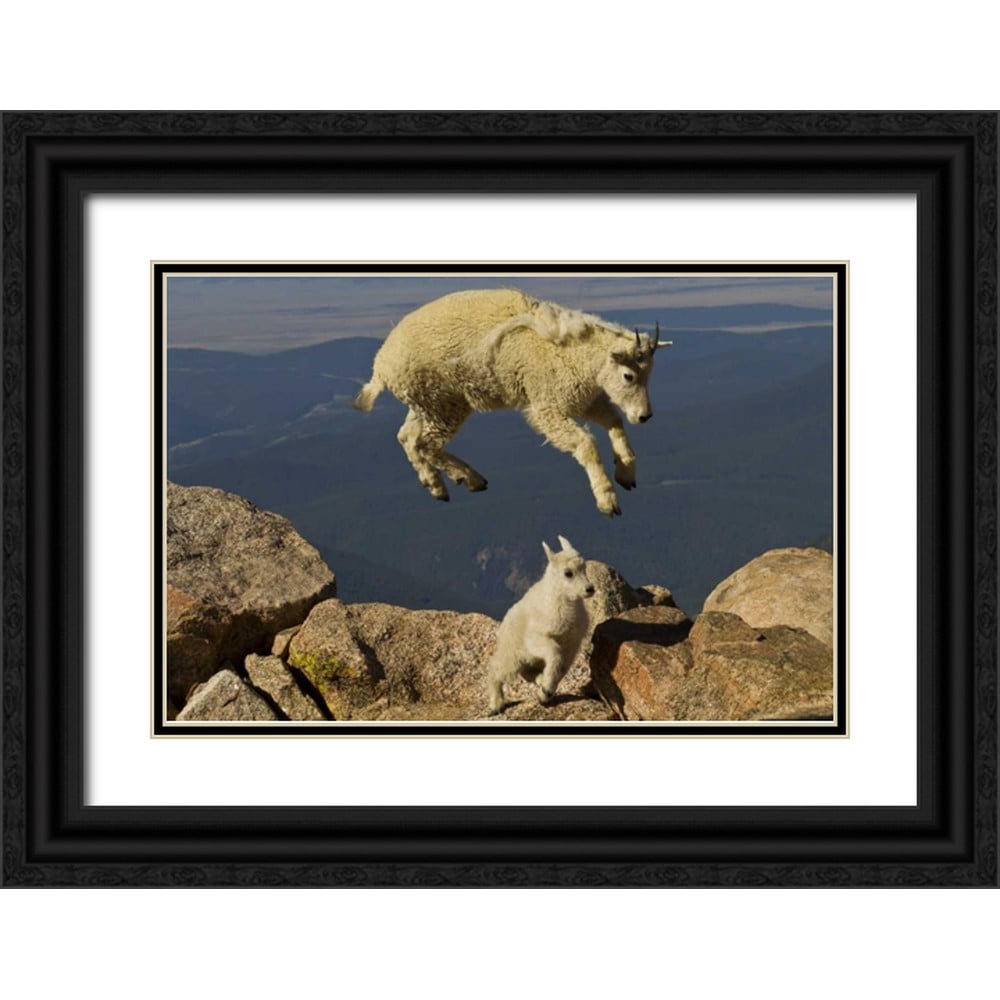 Illg, Cathy and Gordon 32x23 Black Ornate Wood Framed with Double ...