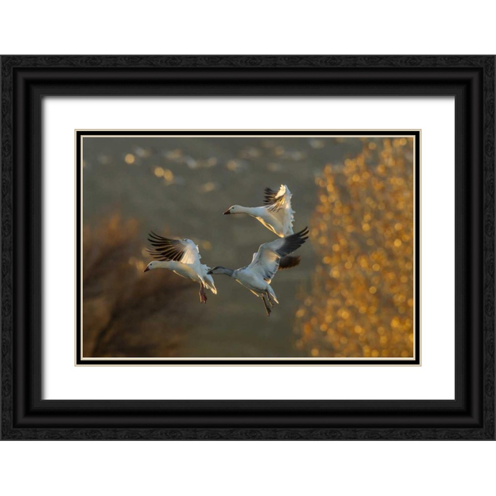 Illg, Cathy and Gordon 32x23 Black Ornate Wood Framed with Double ...