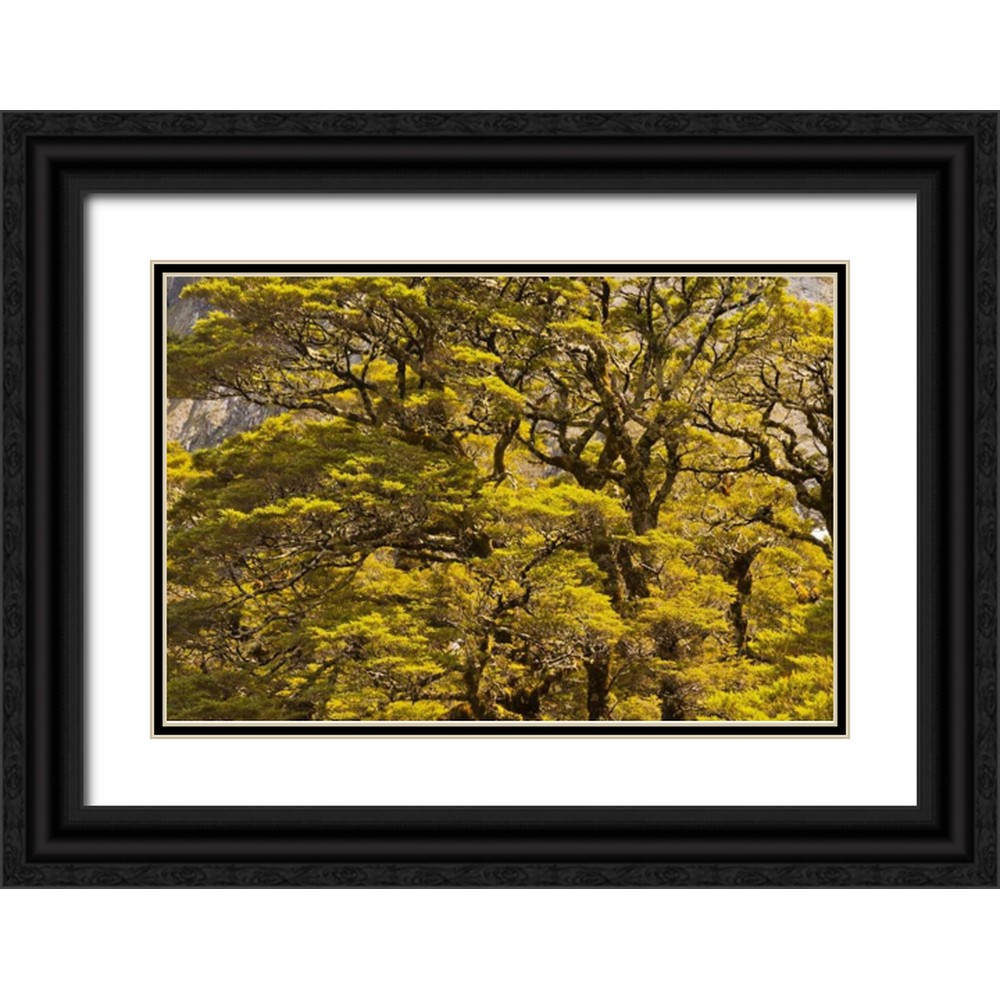 Illg, Cathy and Gordon 32x23 Black Ornate Wood Framed with Double ...