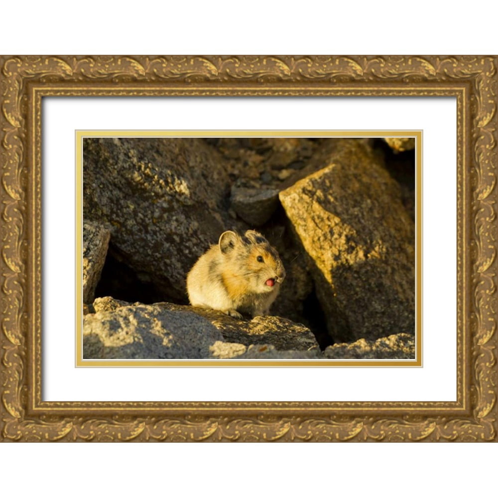 Illg, Cathy and Gordon 32x23 Gold Ornate Wood Framed with Double ...