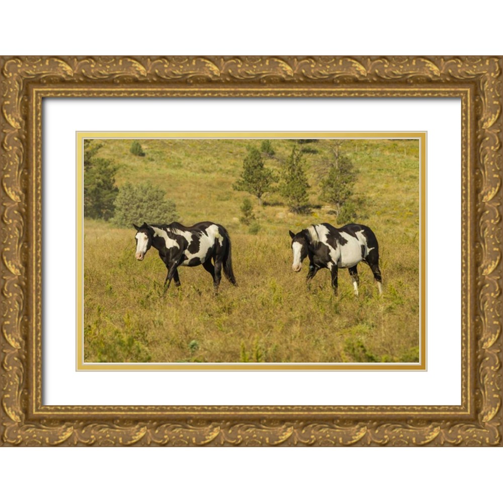 Illg, Cathy and Gordon 32x23 Gold Ornate Wood Framed with Double ...