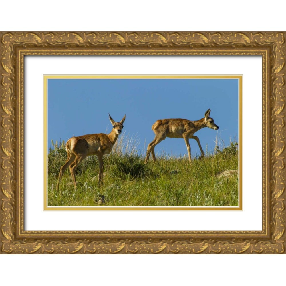 Illg, Cathy and Gordon 32x23 Gold Ornate Wood Framed with Double ...