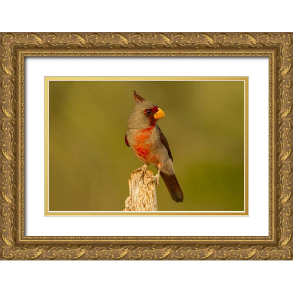 Illg, Cathy and Gordon 32x23 Gold Ornate Wood Framed with Double ...