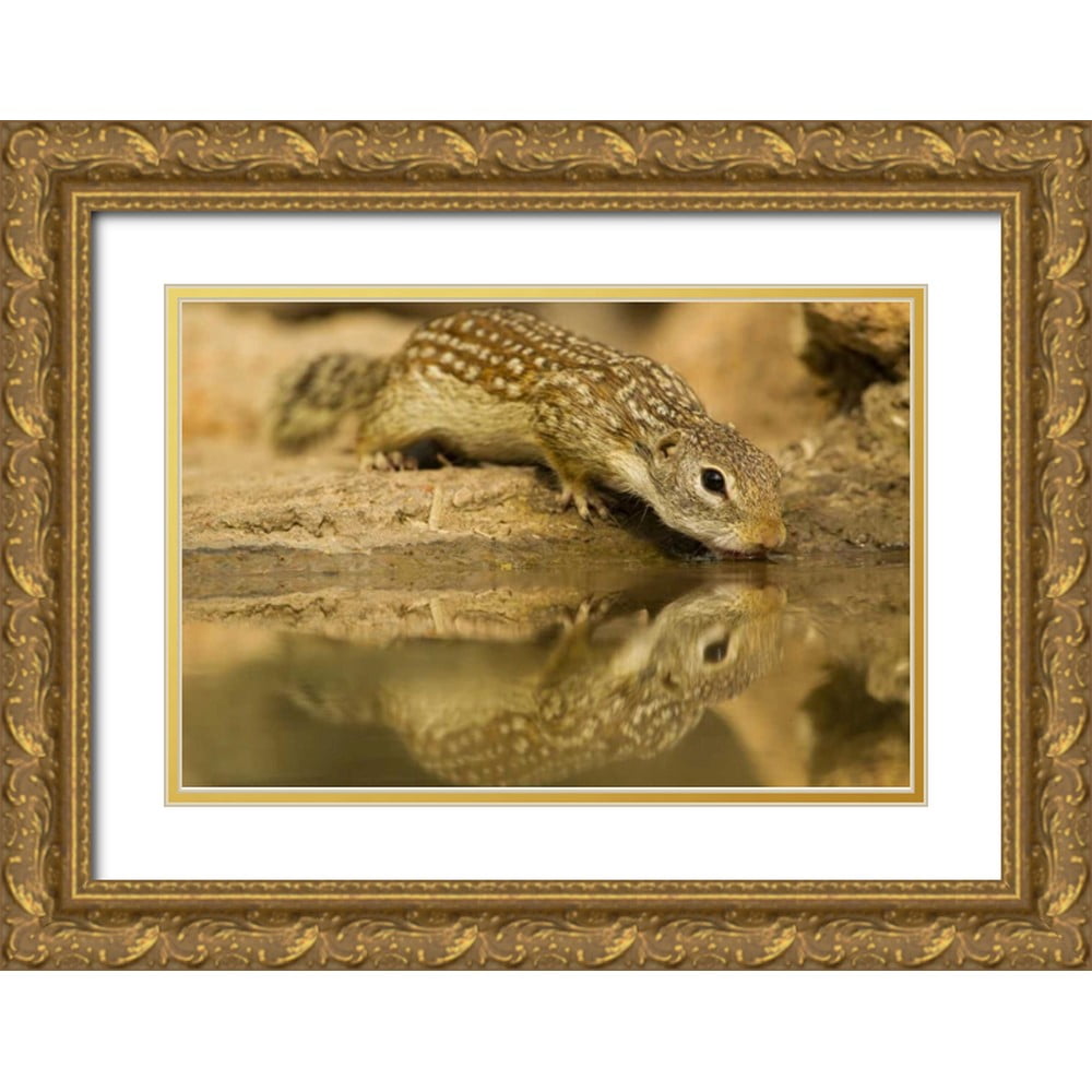 Illg, Cathy and Gordon 32x23 Gold Ornate Wood Framed with Double ...