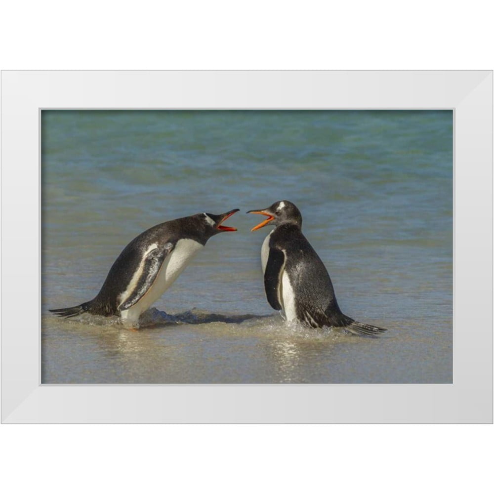 Illg, Cathy and Gordon 32x23 White Modern Wood Framed Museum Art Print ...