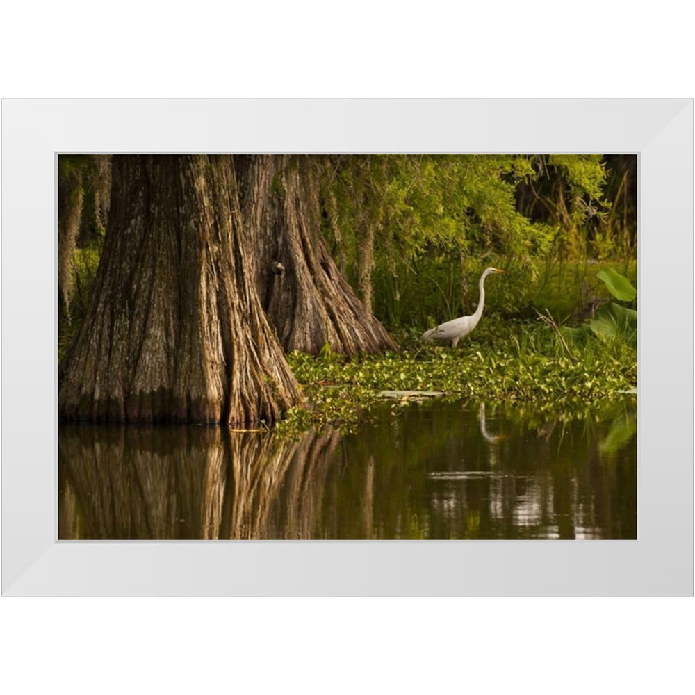 Illg, Cathy and Gordon 32x23 White Modern Wood Framed Museum Art Print ...