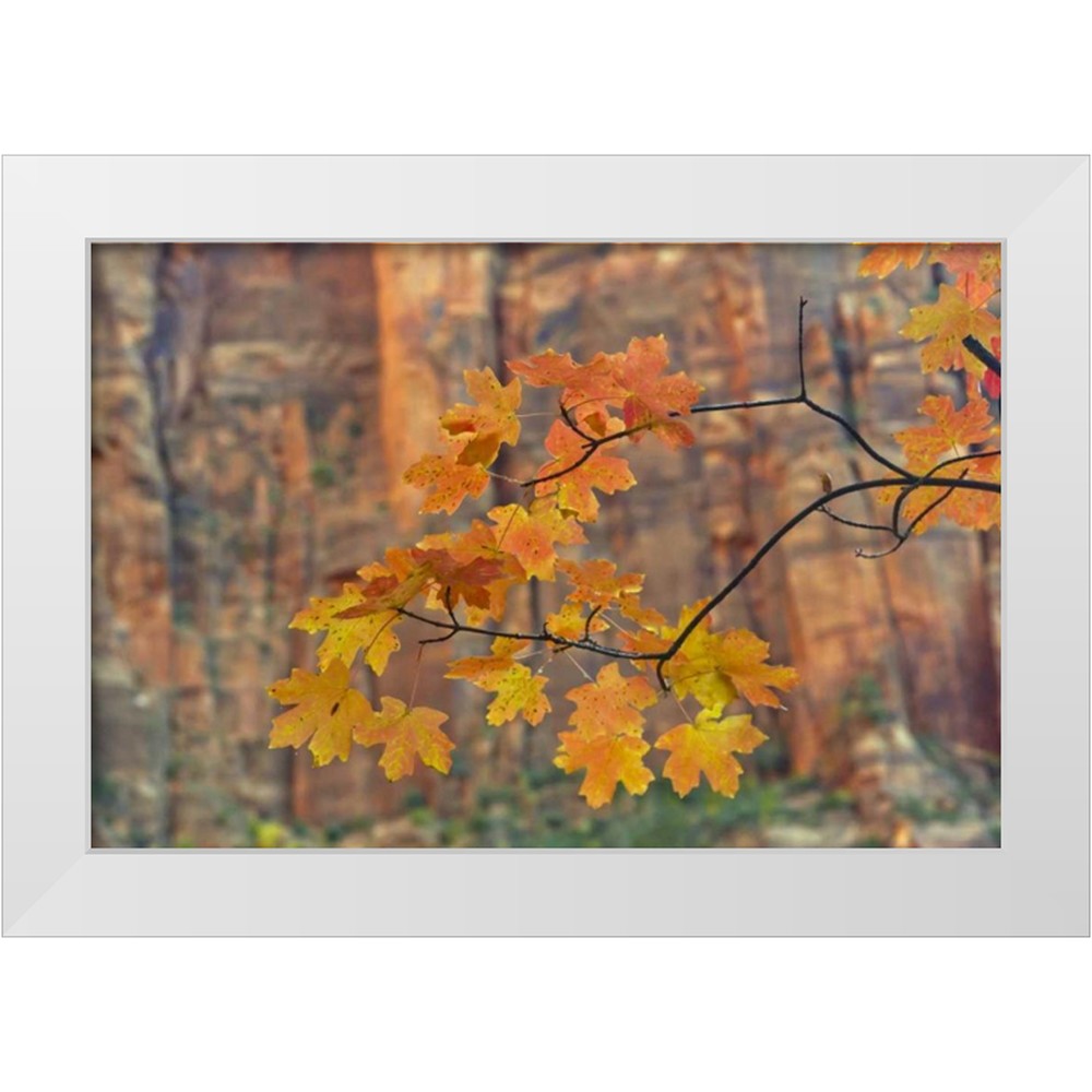Illg, Cathy and Gordon 32x23 White Modern Wood Framed Museum Art Print ...