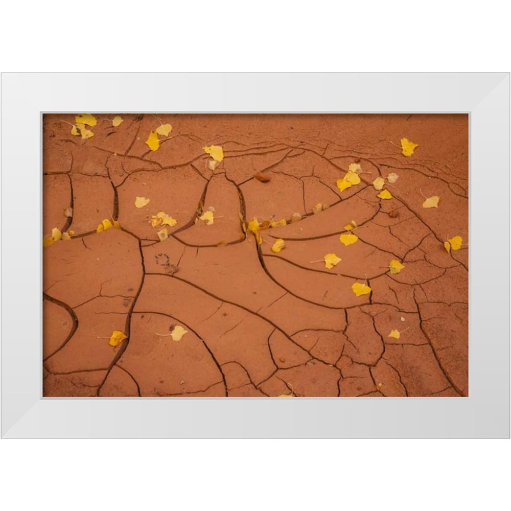 Illg, Cathy and Gordon 32x23 White Modern Wood Framed Museum Art Print ...