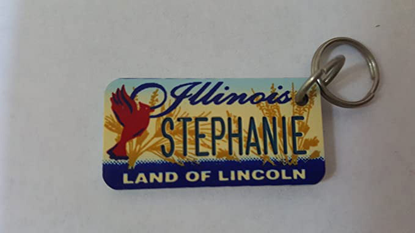 Illinois Land of Lincoln Stephanie Keychain Key Holder Key Ring New ...