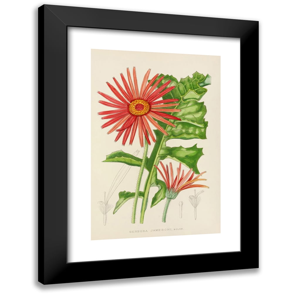 Illtyd Buller Pole-Evans 11x14 Black Modern Framed Museum Art Print ...