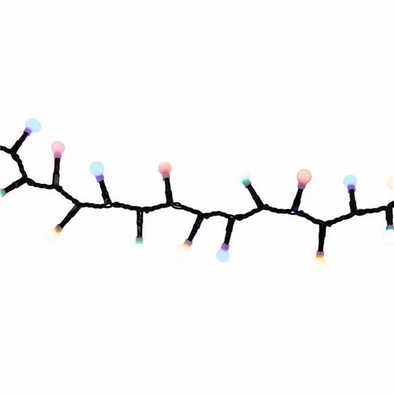 Illumax China Limited G48 9957624X 36 ft. Compact LED Lights with Multi ...