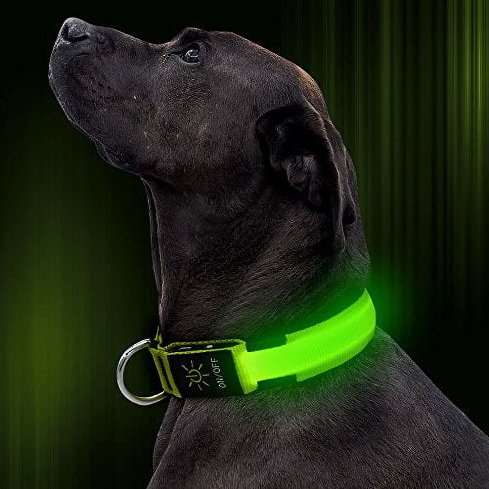 Illumifun LED Dog Collar, Nylon Adjustable Light Up Collar, USB ...