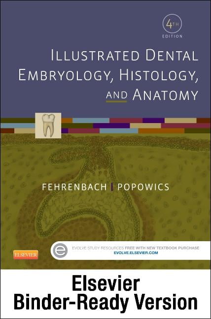 Illustrated Dental Embryology, Histology, and Anatomy - Binder Ready ...