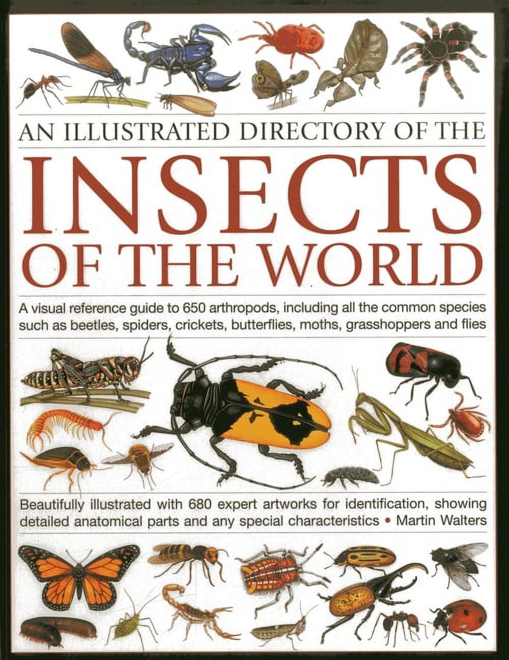 An Illustrated Directory of the Insects of the World : A visual reference guide to 650 ...