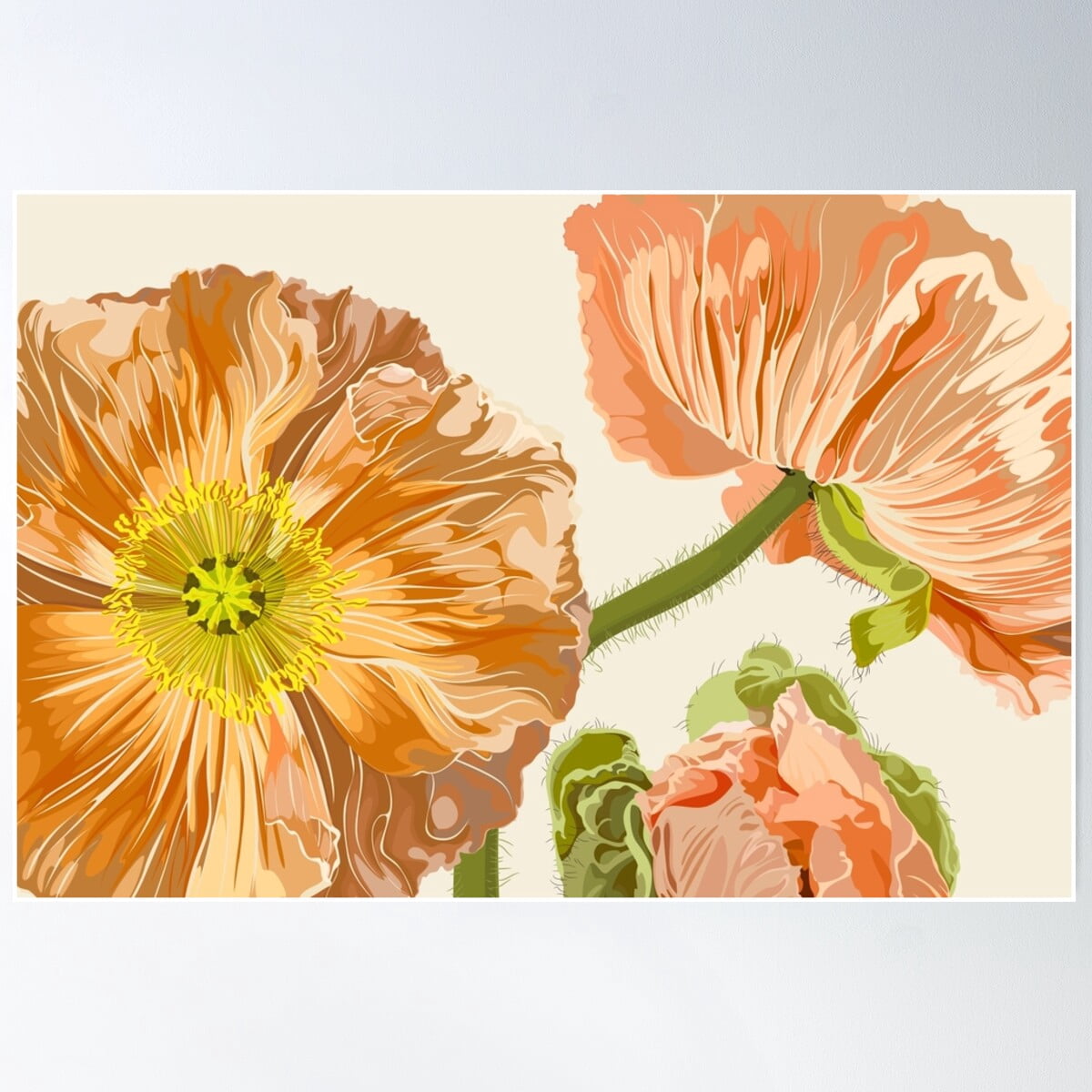 Illustration Of Floral Poppy Flowers. Yellow, Beige Group And Isolated ...