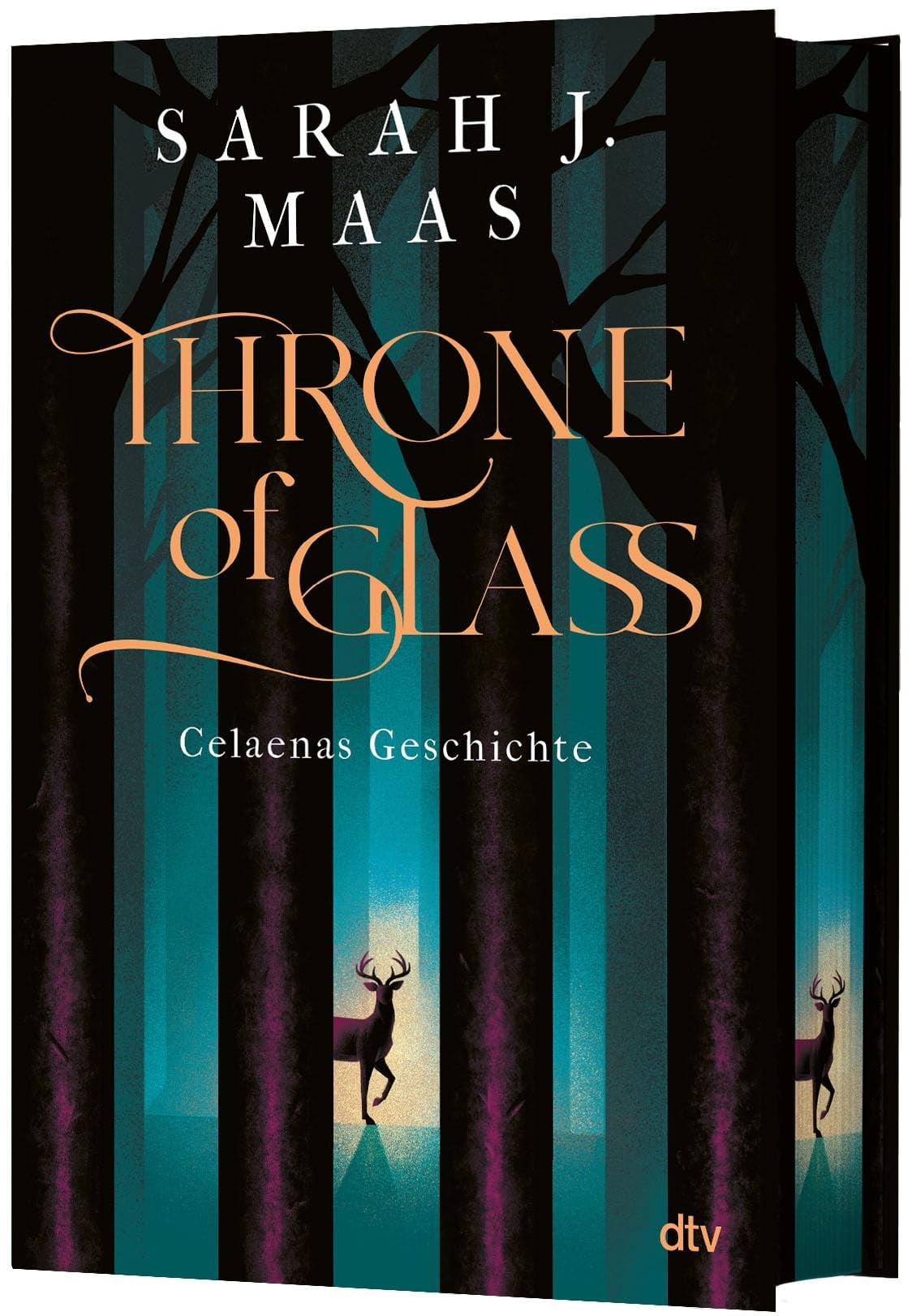 Ilse Layer,Sara Throne of Glass Celaenas Geschichte: Novellas 1-5 ...