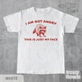 Im Not Angry Its Just My Face Shirt, Funny Retro Raccoon Tee, Sarcastic ...