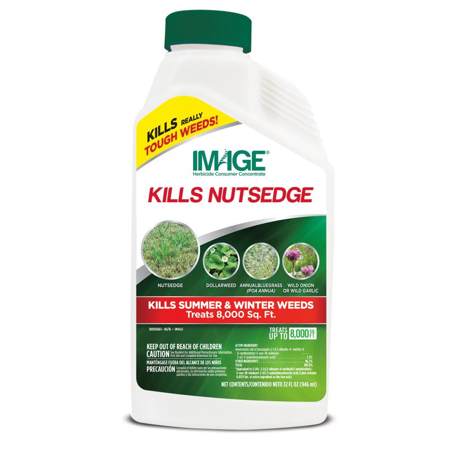 Image All-in-One Lawn Weed Killer Herbicide, 24 oz. Concentrate ...