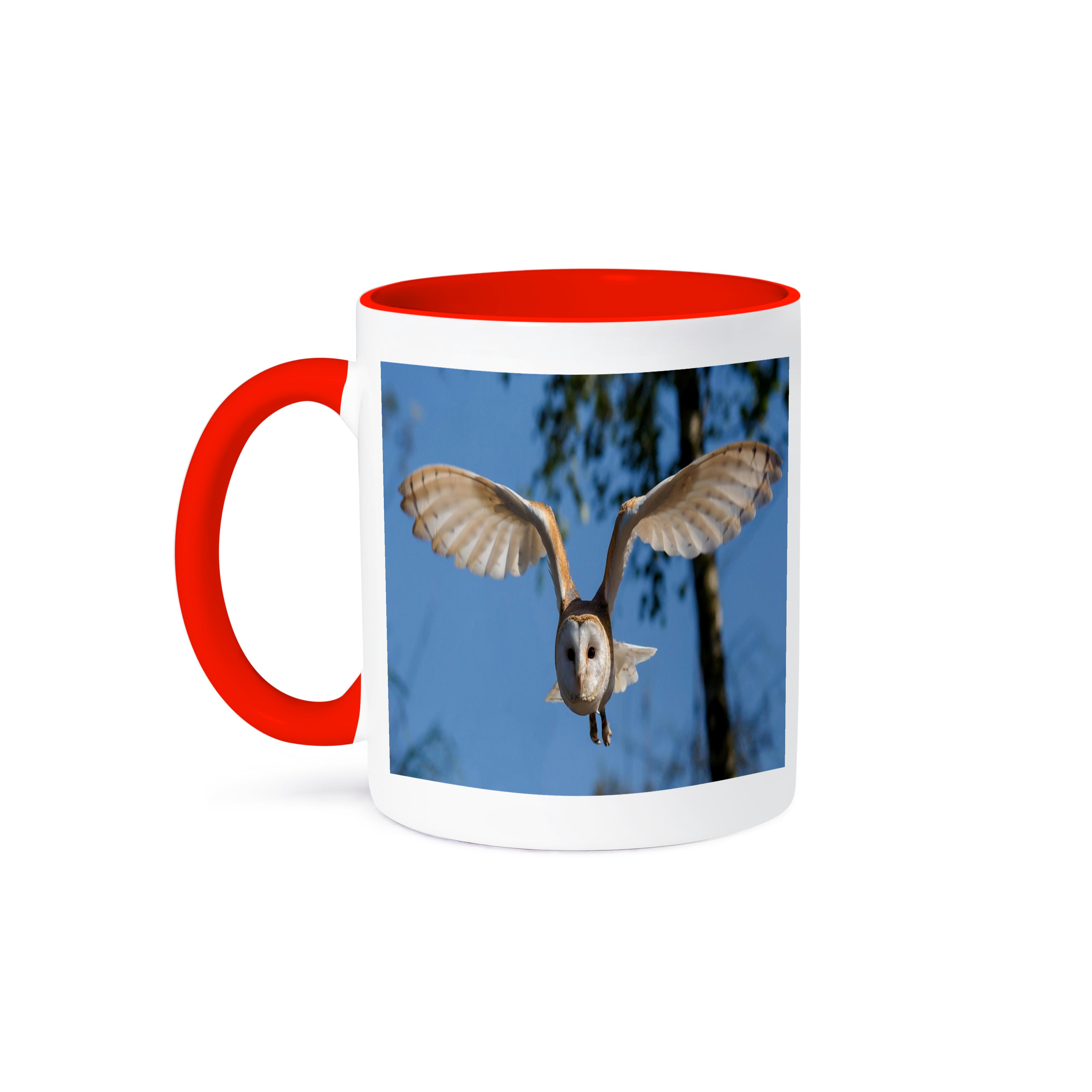 Image Of Barn Owl In Flight, 11oz Two-Tone Red Mug - Walmart.com