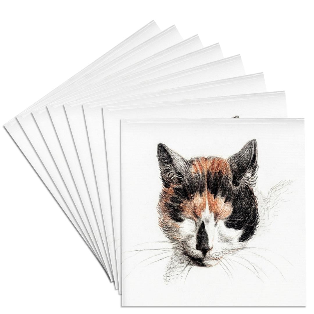 3drose, Image of Calico Cat Face While Asleep Very Cute, Set of 8 ...