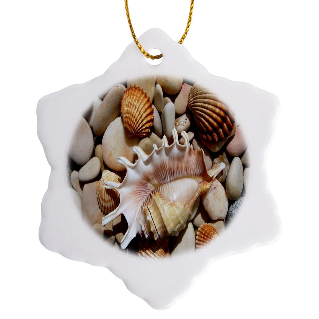 3drose, Image of Florida Sea Shells on Stones, 3 inch Snowflake ...