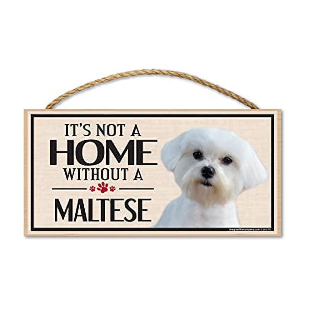 Imagine This Wood Sign for Maltese Dog Breeds - Walmart.com