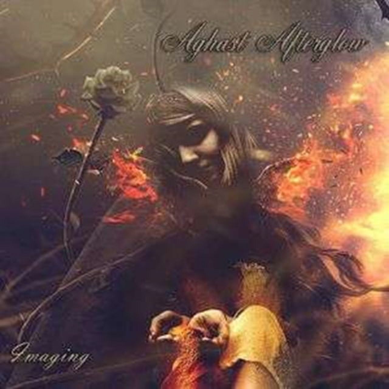 Imaging (CD) - Walmart.com