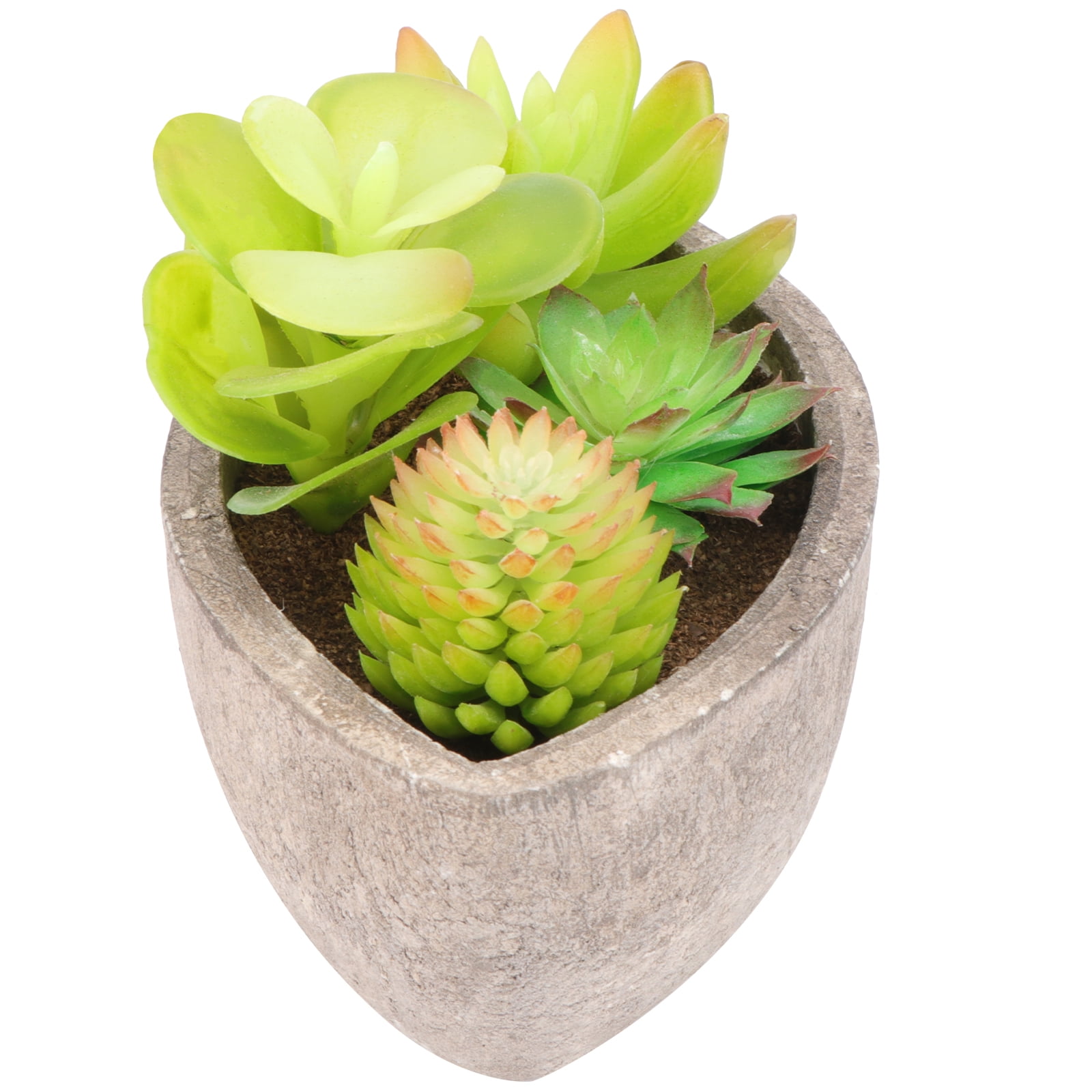 Imitated Plant Bonsai Simulated Plants Succulent Tree Decor Office ...