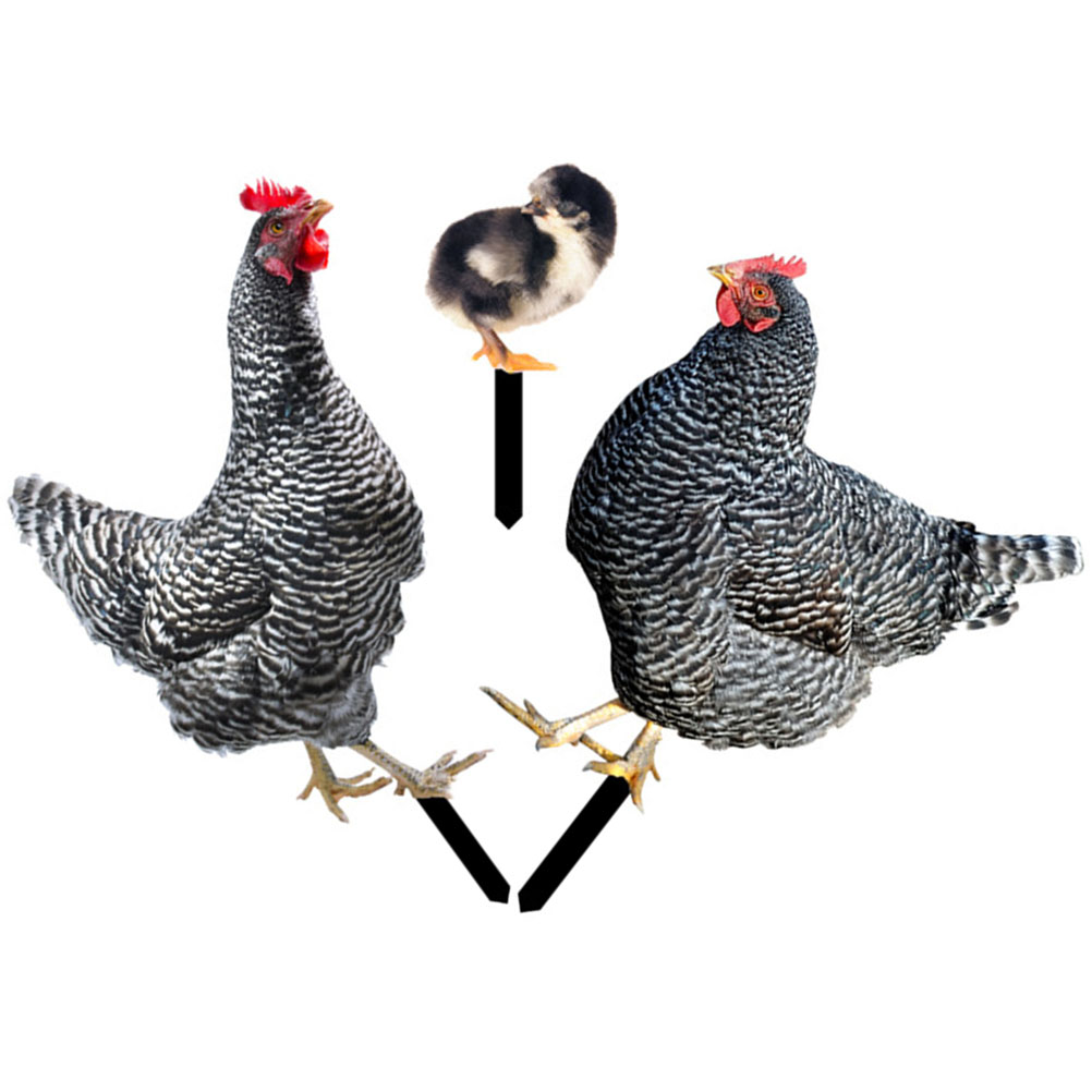 Imitation Chicken Insert Card Ground Plug Outdoor Decor Hen Animals ...