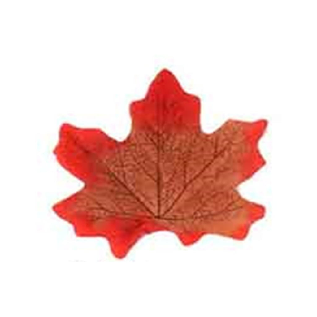 Imitation Maple Leaf Collection 100 Count Natural Texture and Vibrant ...