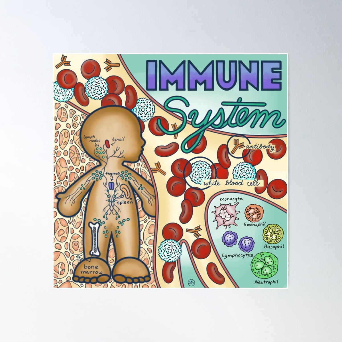 Immune System Poster Wall Art, Modern Wall Decor For Living Room ...