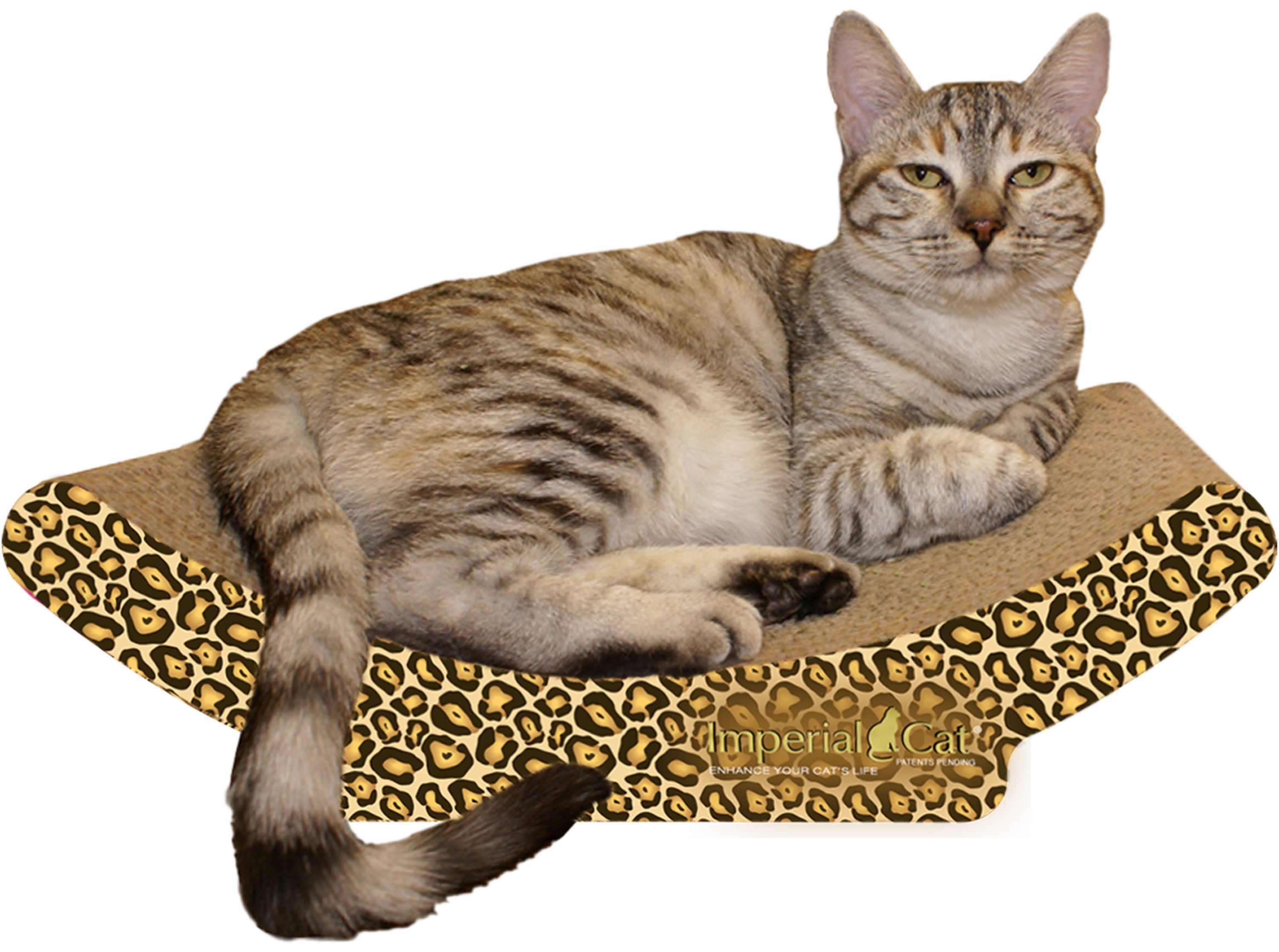 Imperial Cat Scratch 'n Shapes Cozy Curl - Walmart.com