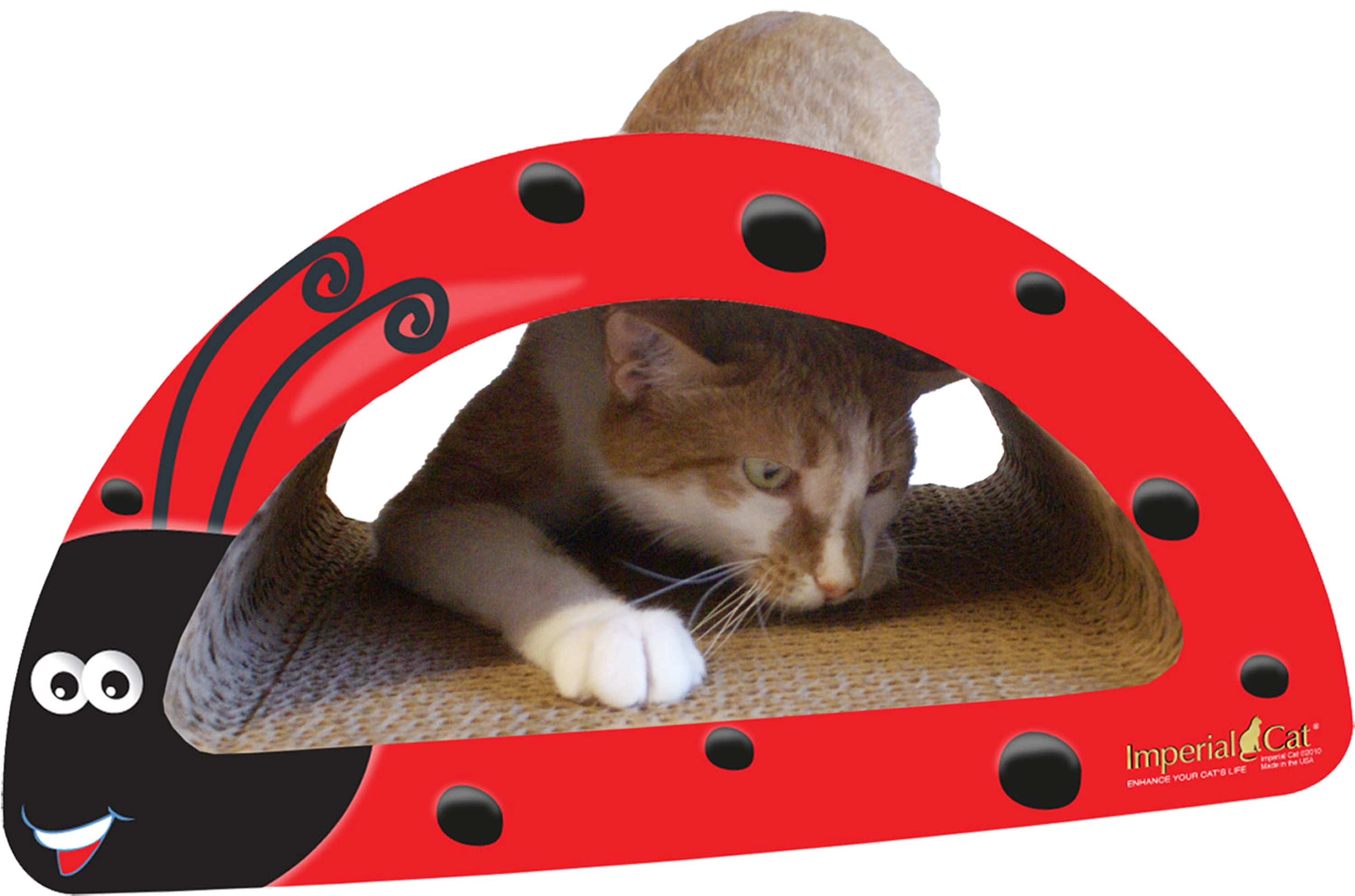Imperial Cat Scratch 'n Shapes Lady Bug (2-in1) - Walmart.com