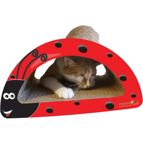 Imperial Cat Scratch 'n Shapes Lady Bug (2-in1) - Walmart.com