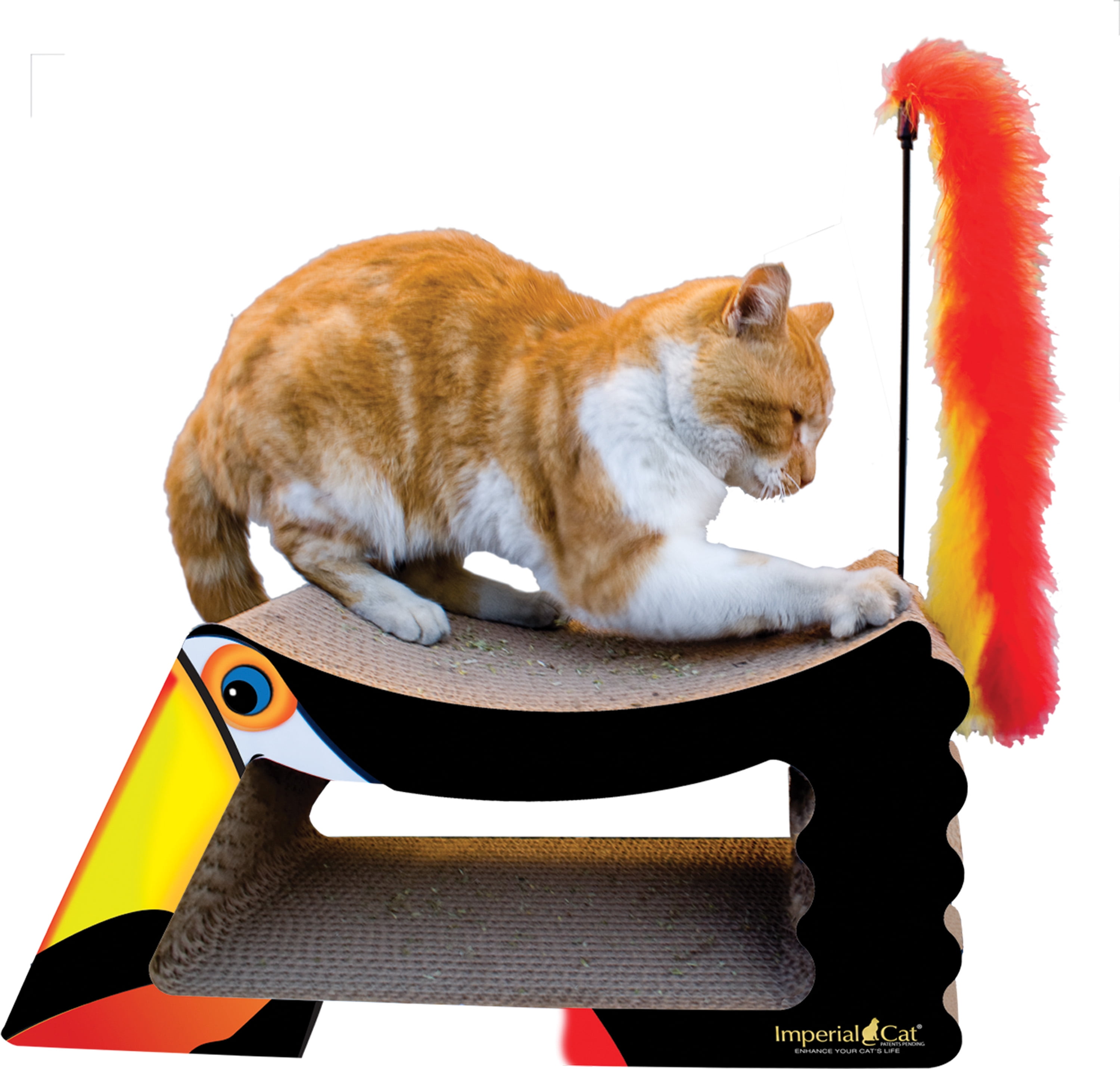 Imperial Cat Scratch 'n Shapes "Two" Cans (2-in-1) - Walmart.com