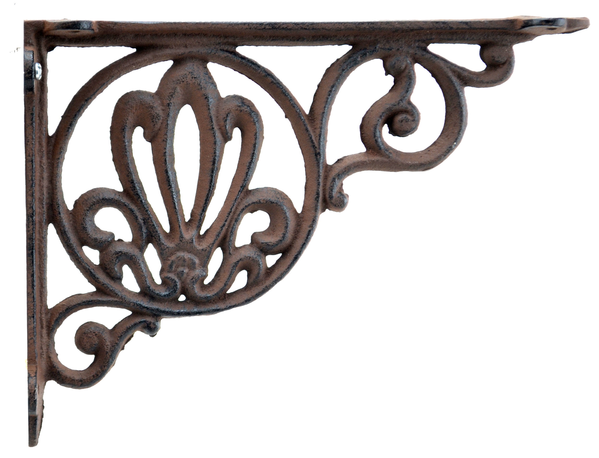 Import Wholesales Nautical Shelf Bracket - Clamshell - Rust Brown Cast ...
