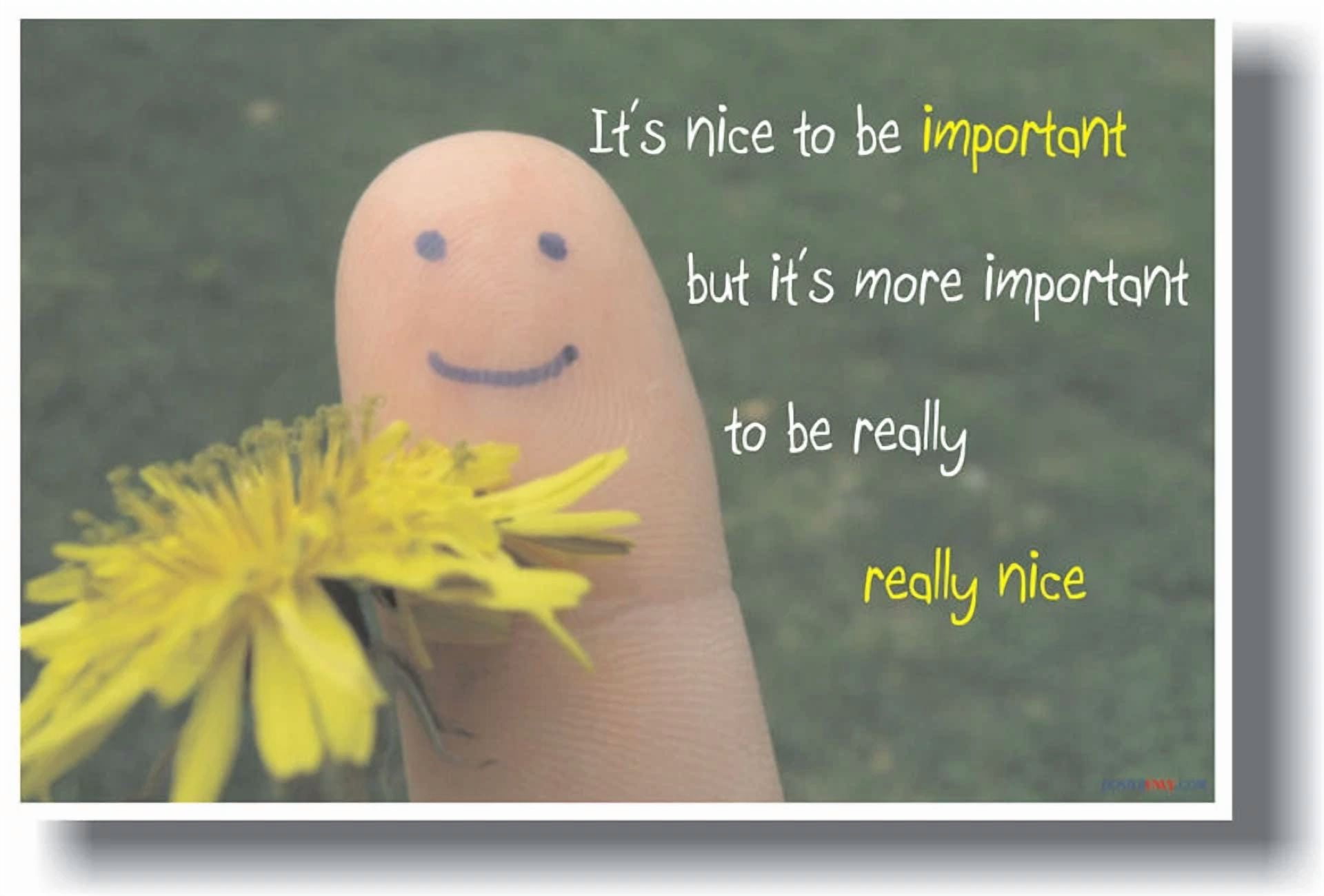 Important To Be Nice - Motivational School Classroom Poster - Walmart.com