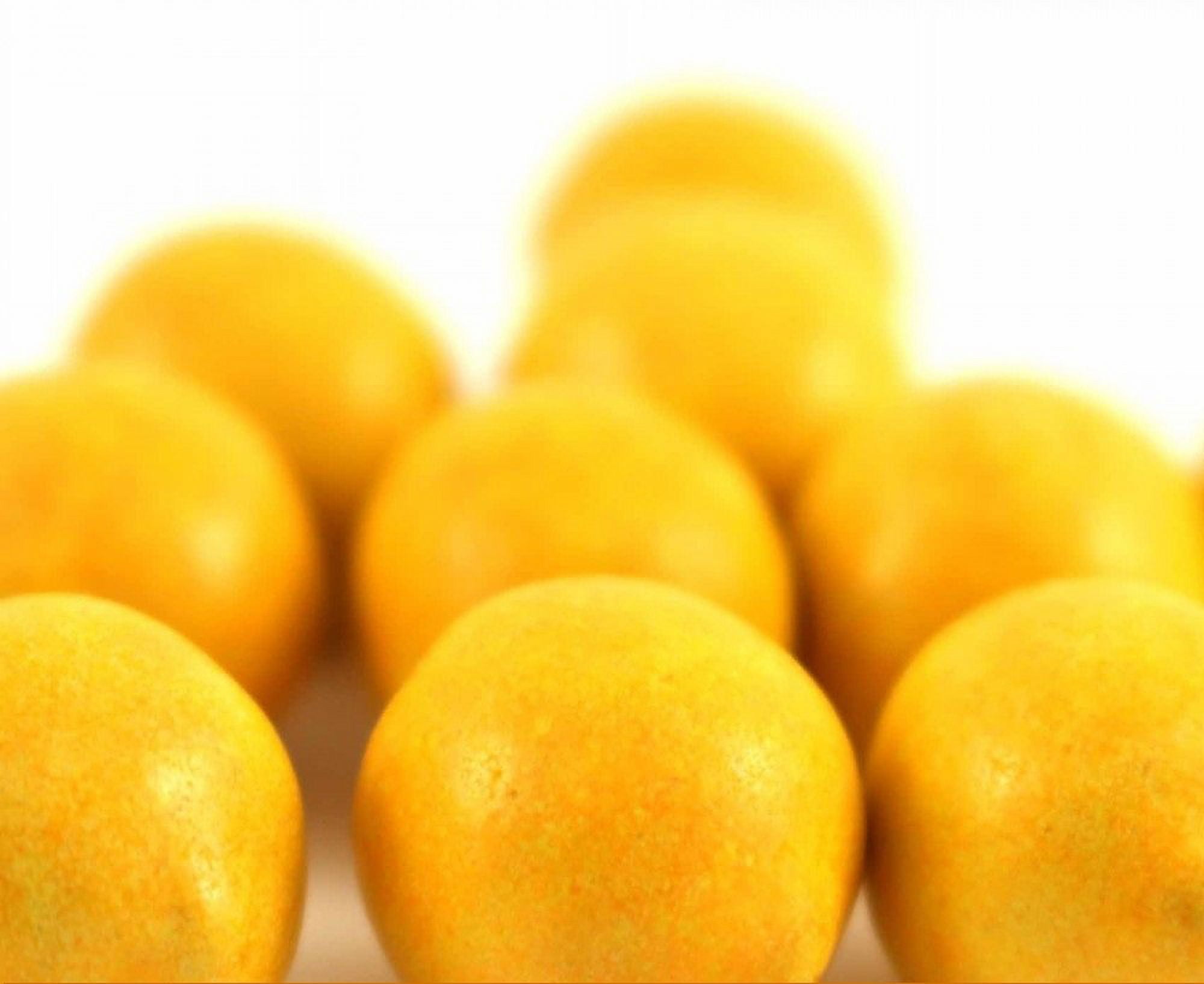 Imported Mexican Lemon 7 Salted & Lemon Powder, Polvo de sal y ...