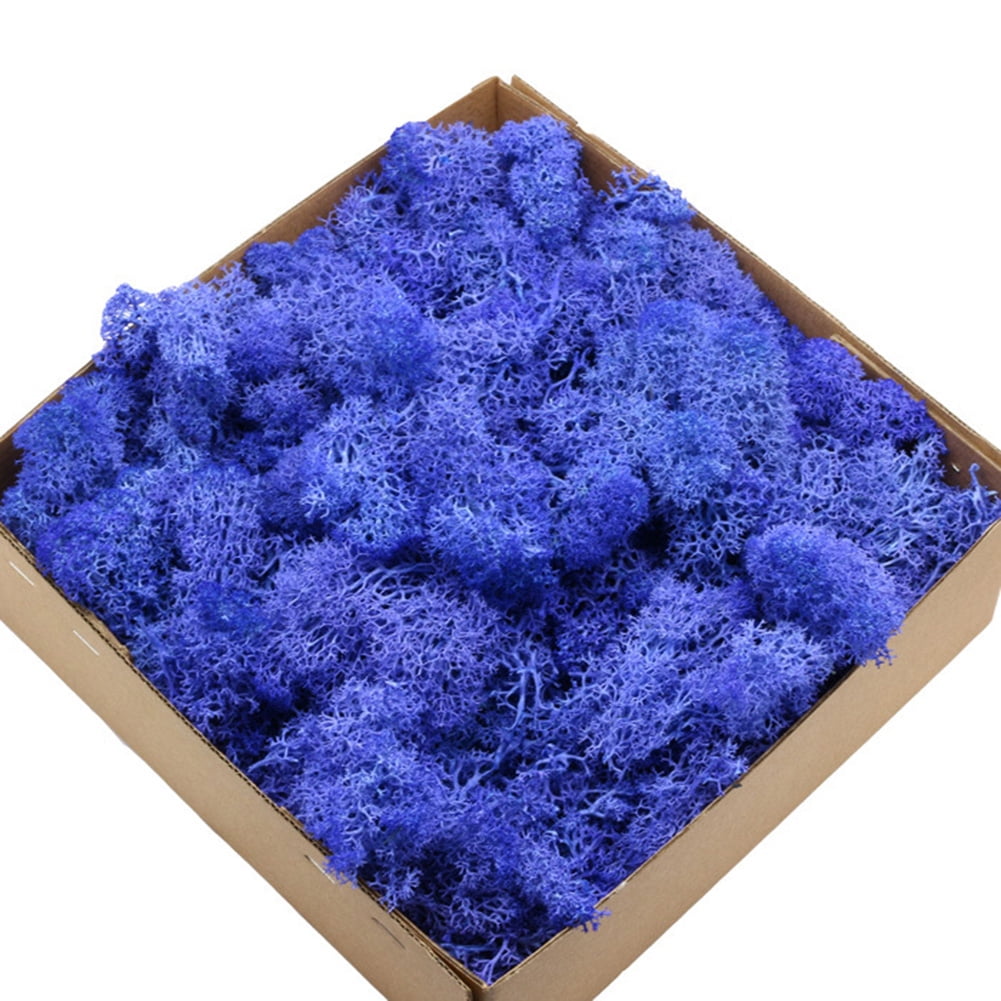 Imports Fresh Dried Forest Green Moss, Naturally Preserved, Loose ...