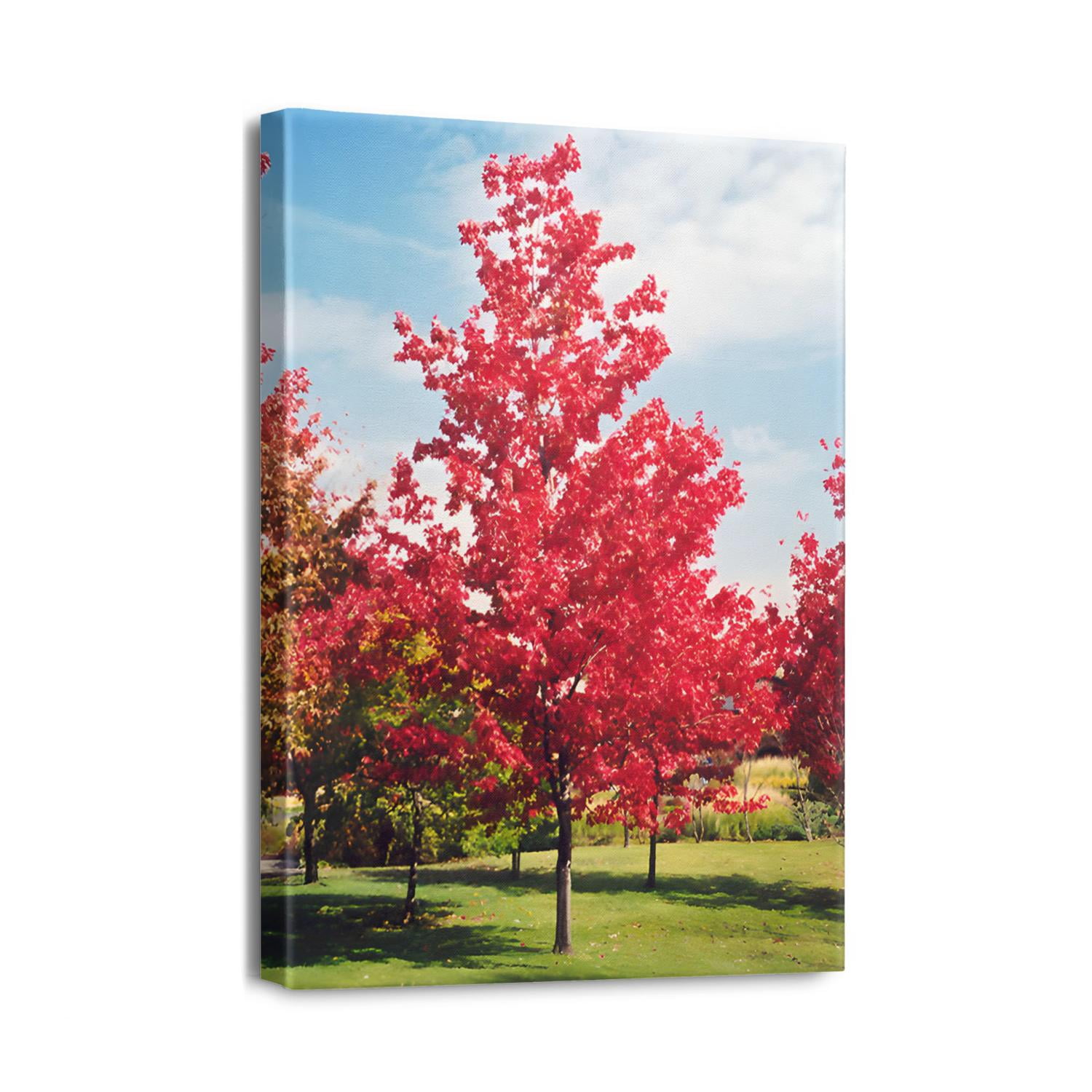 Impressive 12x16 Modern Scenery Prints - Tree-Inspired Drawn Artwork ...