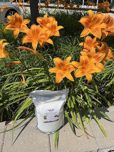 Improve Your Lawn and Garden with Soil Vigor for Long-Term Hydration ...