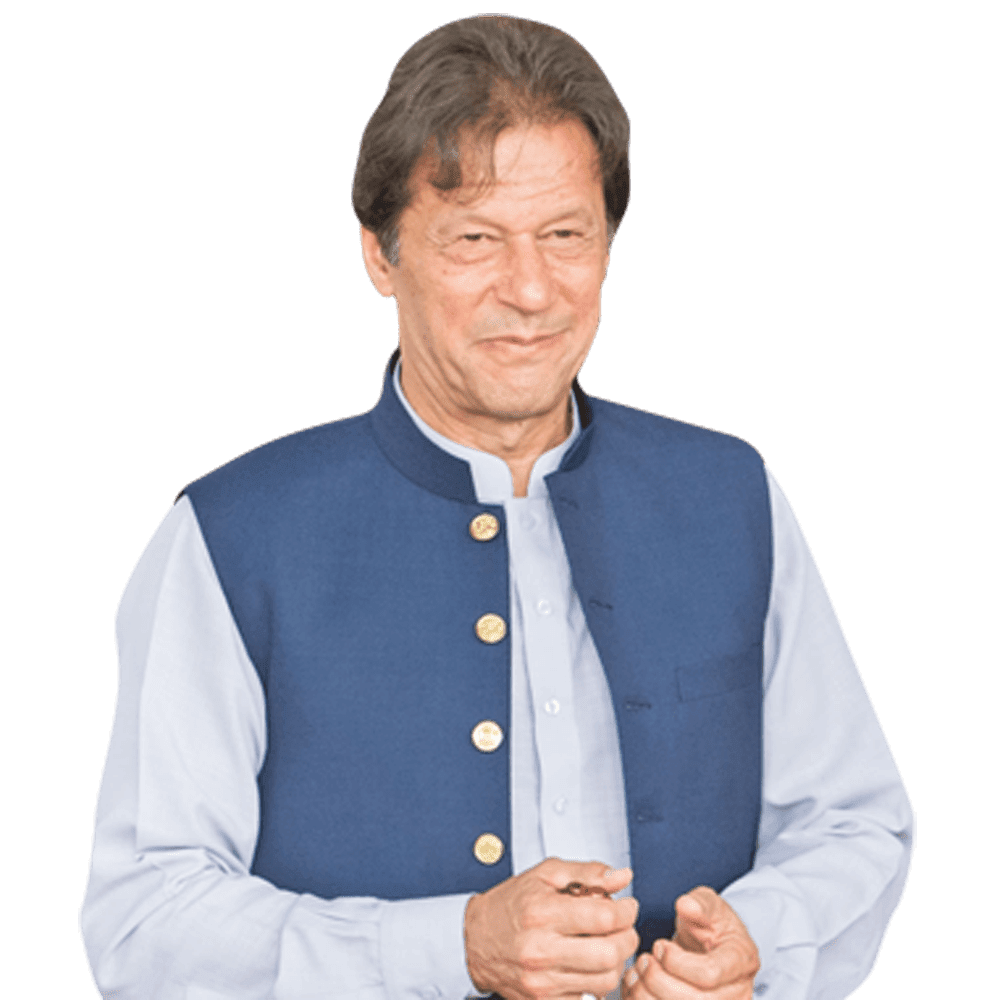 Imran Khan (Blue) Half Body Buddy Cutout - Walmart.com