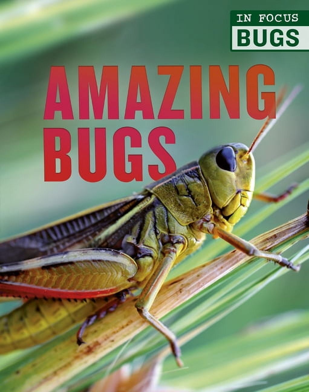 In Focus: Bugs Amazing Bugs, (Hardcover) - Walmart Business Supplies