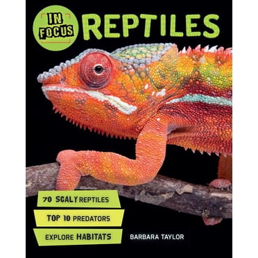 Red-Eyed Tree Frog, (Hardcover) - Walmart.com