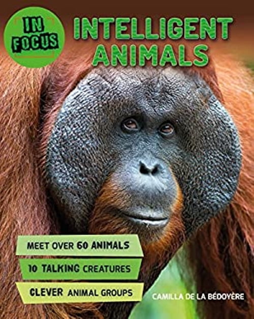 Pre-Owned In Focus: Intelligent Animals (Hardcover) 0753473879 ...
