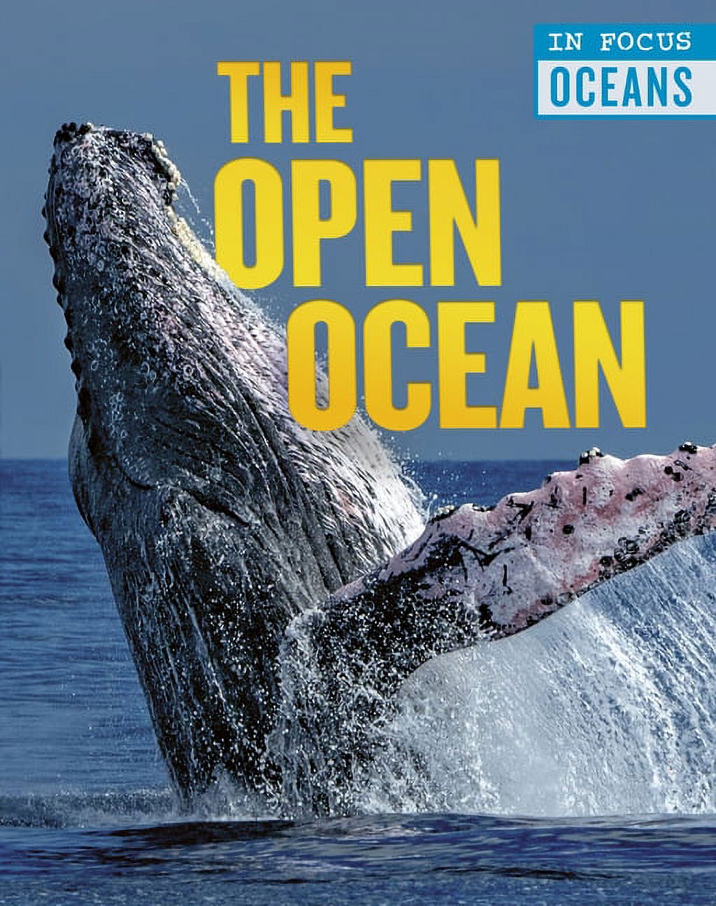 In Focus: Oceans The Open Ocean, (Hardcover) - Walmart.com