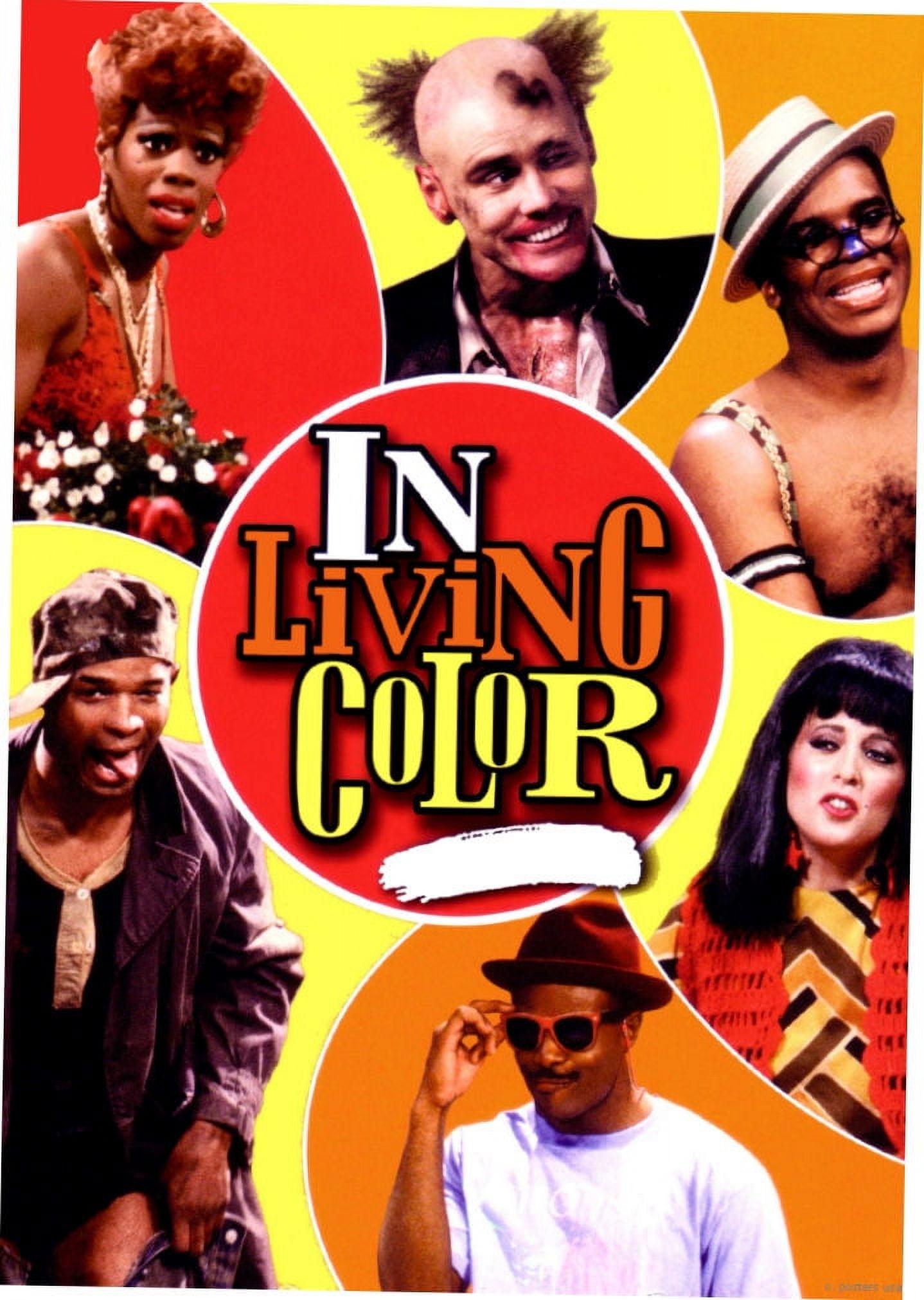 In Living Color Movie poster 12x16 Print on Metal Sign 12in x 16in ...