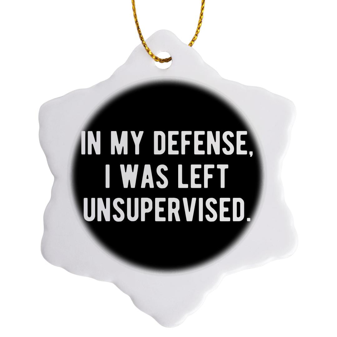 3drose, in My Defense I Was Left Unsupervised. Bold White Lettering on ...