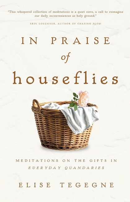 In Praise of Houseflies: Meditations on the Gifts in Everyday ...